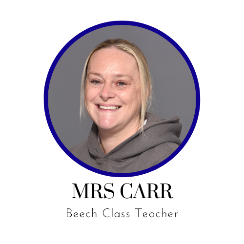 Meet the Team | Alveley Primary School